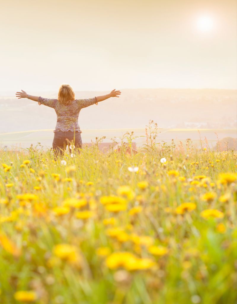 Finding Calm In The Noise: A Gentle Introduction To Mindfulness ...